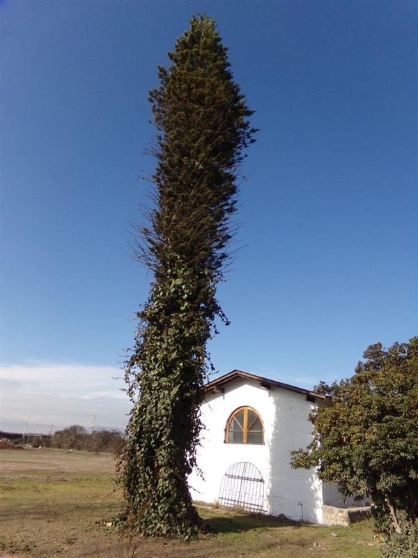Casa en Arriendo en Isla de Maipo, la Villita