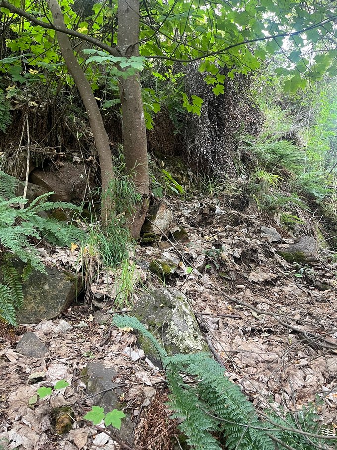 Parcela en Venta en Coyhaique, Sector el Claro