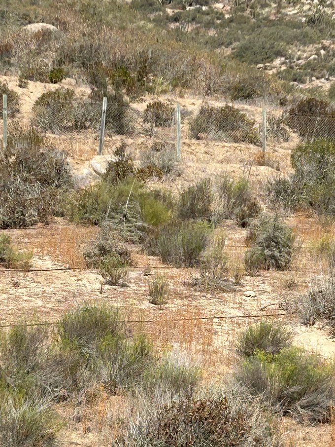 Parcela en Venta en La Serena, Kilómetros 18 camino al valle del elqui