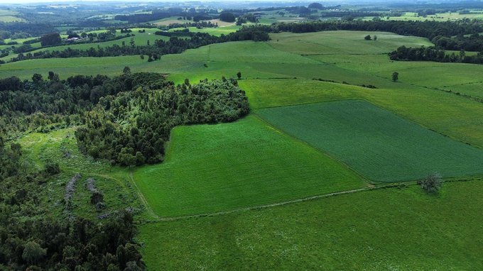 Parcela en Venta en Los Muermos, Hermosas parcelas en Los Muermos (105331)