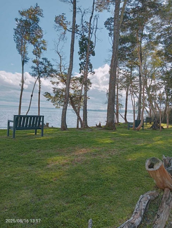 Parcela en Venta en Puerto Octay, Sabor del lago - u-99-v