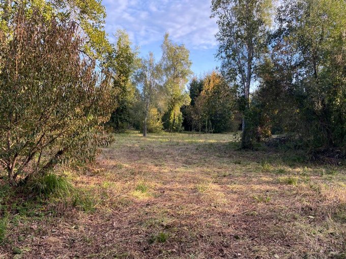 Parcela en Venta en Villarrica, Villarrica - Cod: 106579834