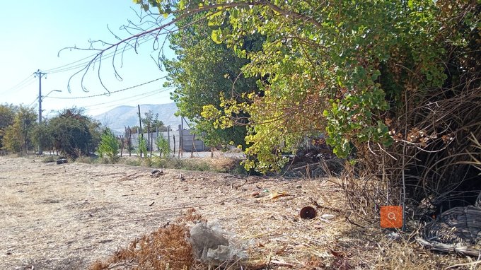 Terreno Agricola en Venta en Colina, Reina Norte