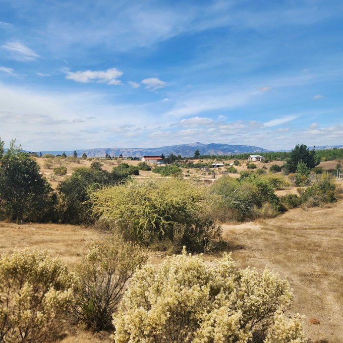 Terreno Agricola en Venta en Lolol, Campos de lolol