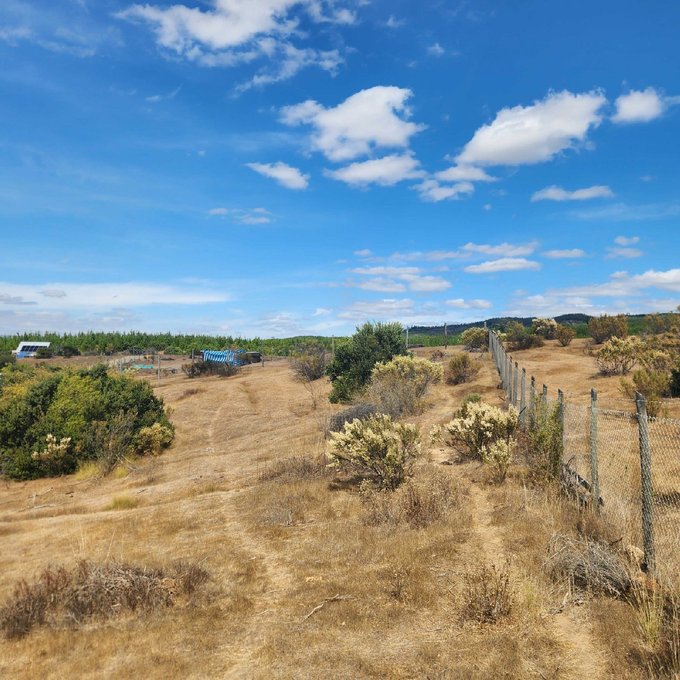 Terreno Agricola en Venta en Lolol, Campos de lolol