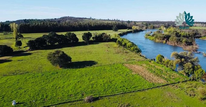 Terreno en Venta en Angol, Invierte en tranquilidad y buena conexión ...