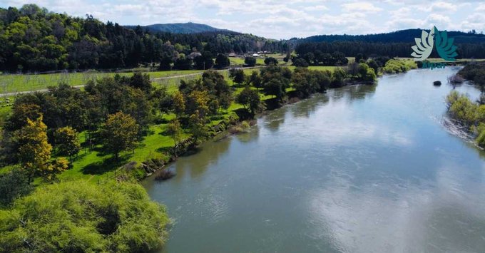 Terreno en Venta en Angol, Invierte en tranquilidad y buena conexión ...