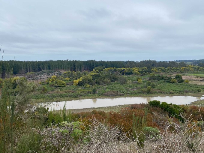 Terreno en Venta en Chanco, Parcelas de agrado, Pahuil, Chanco (110673)