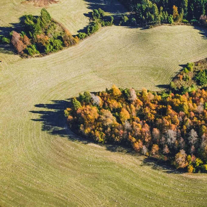 Terreno en Venta en Curacautín, Terrenos a solo 15 minutos de ...