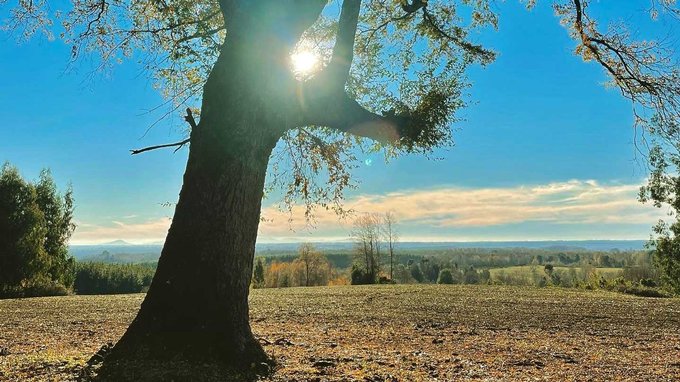 Terreno en Venta en Curacautín, Terrenos a solo 15 minutos de ...