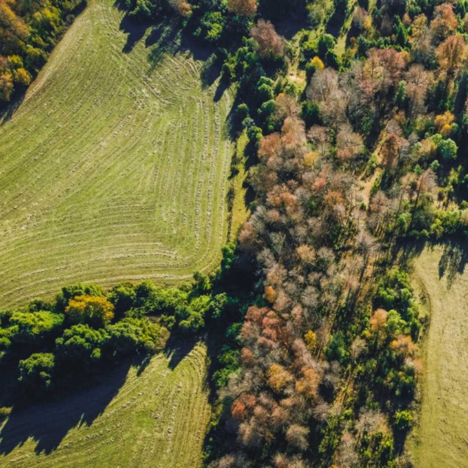 Terreno en Venta en Curacautín, Terrenos a solo 15 minutos de ...