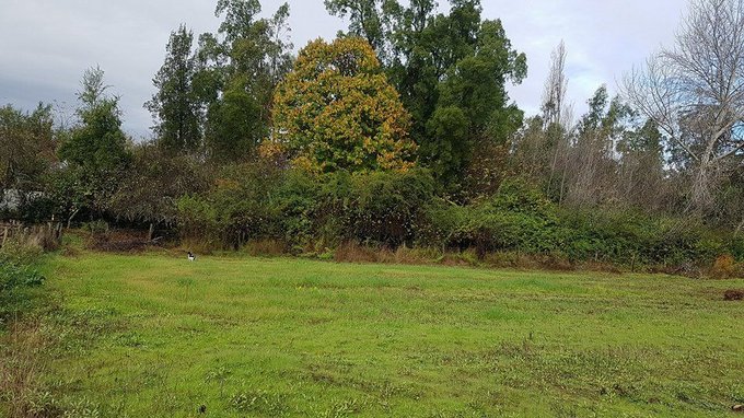 Terreno en Venta en Laja, Q-250 Santa Elena, Laja.