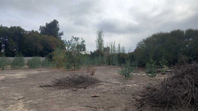 Terreno en Venta en Padre Hurtado, 5.000 mts con agua y luz El Curato ...