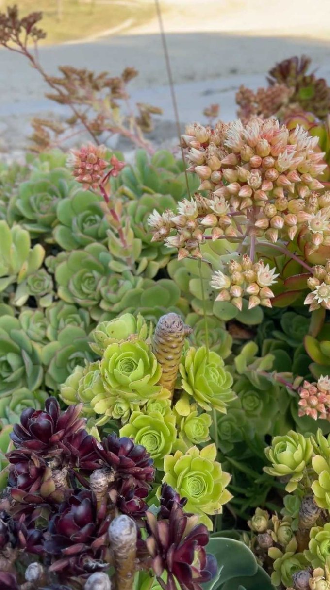 Terreno en Venta en Pichilemu, Pichilemu, condominio privado, agua y ...