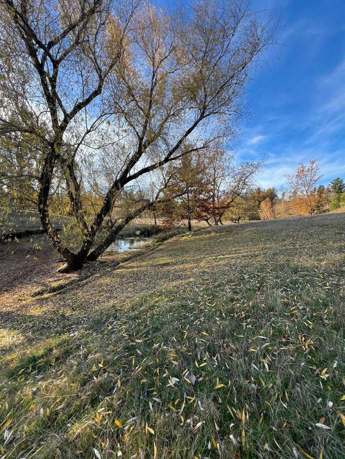 Terreno en Venta en Villarrica, Terreno con vista al volcán - Venta ...